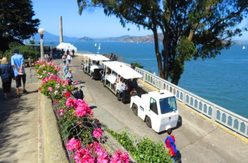 San Francisco Excursions |Alcatraz Tickets |Muir Woods